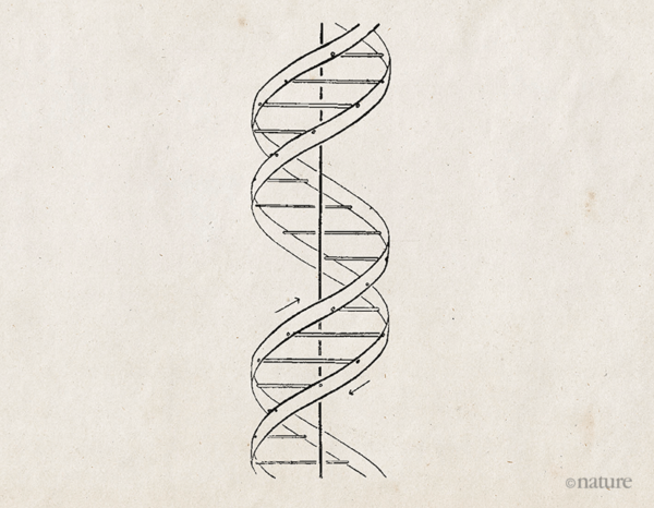 The Groundbreaking Discovery of DNA's Structure