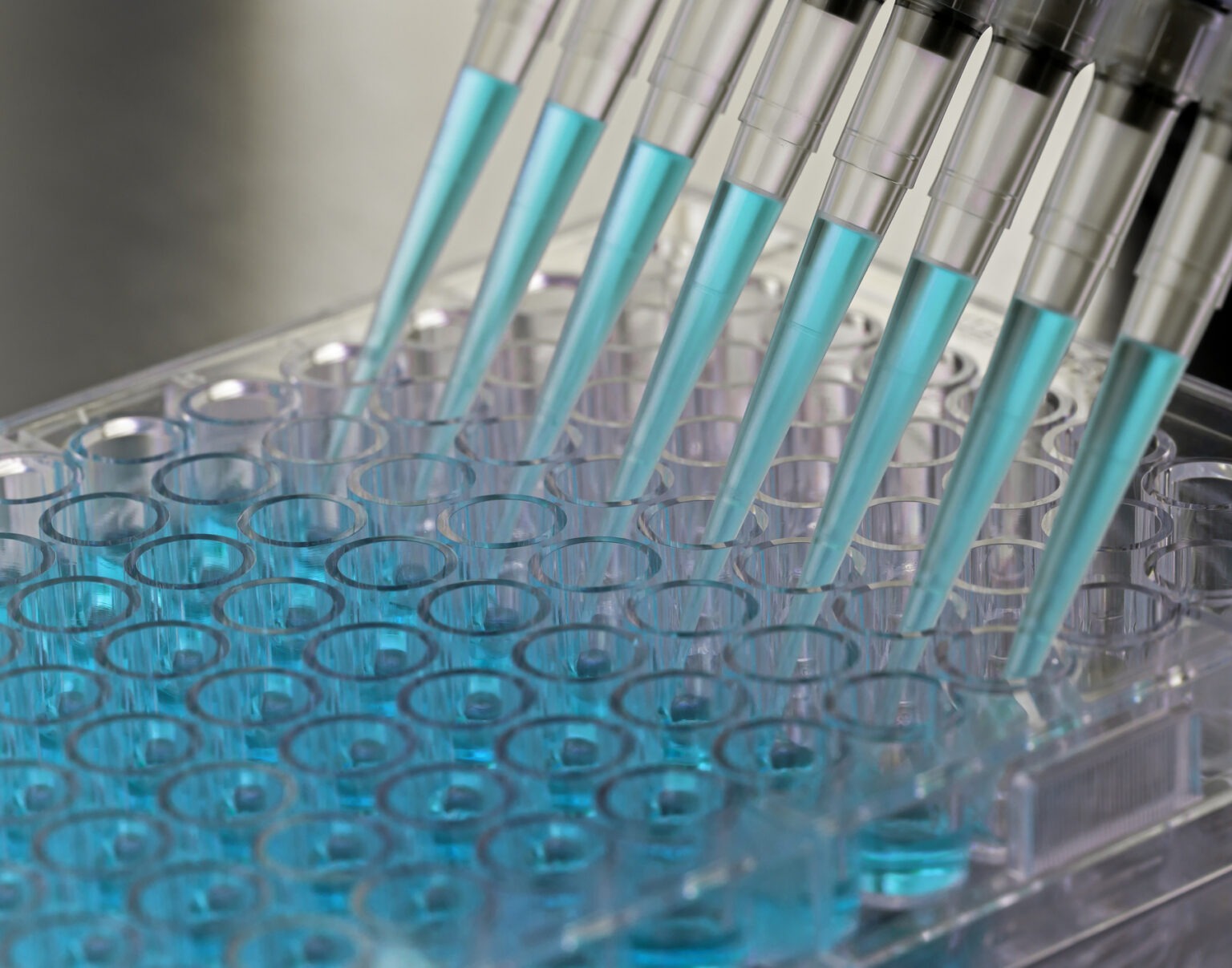 Legal Paternity Tests | The DNA Lab